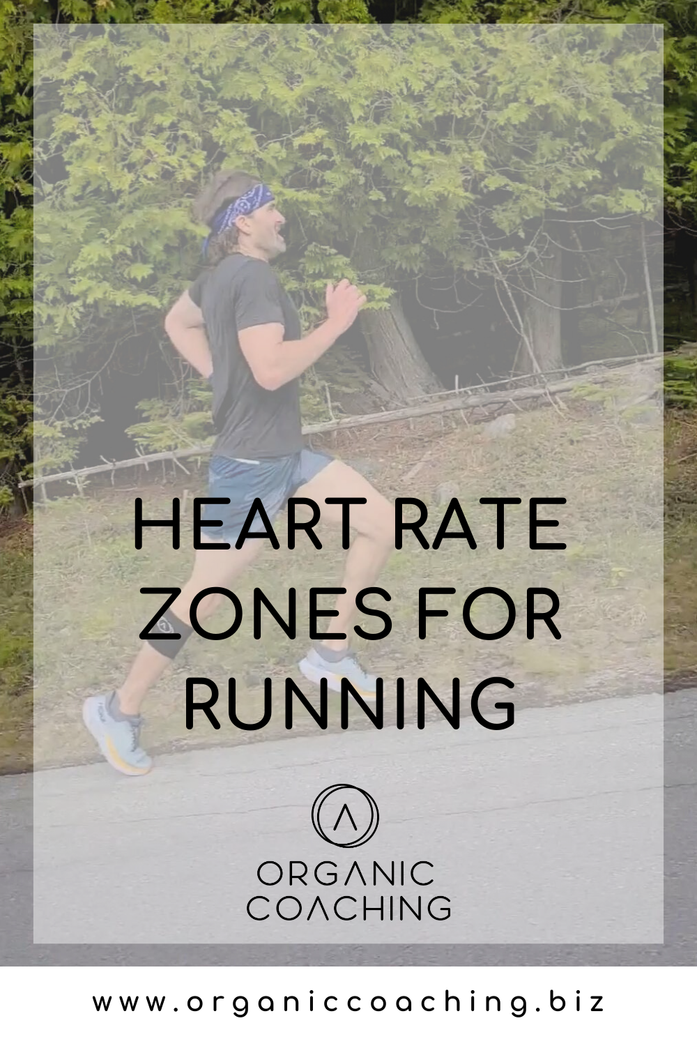 Heart Rate Zones for Running - Organic Coaching